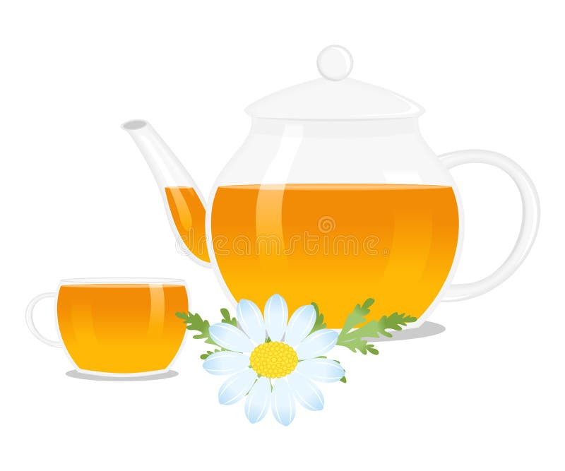 The chamomile tea stock vector. Illustration of medicine - 66775331