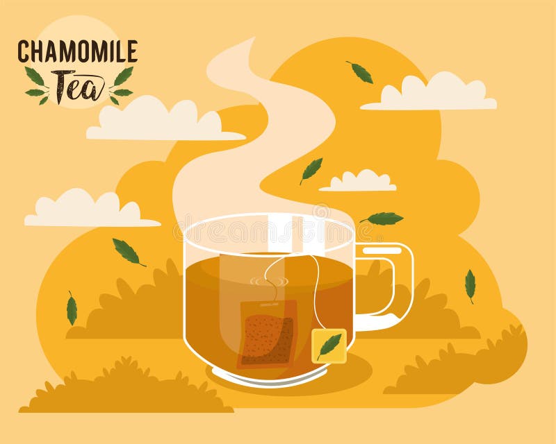 Chamomile Tea Lettering with Glass Stock Vector - Illustration of ...