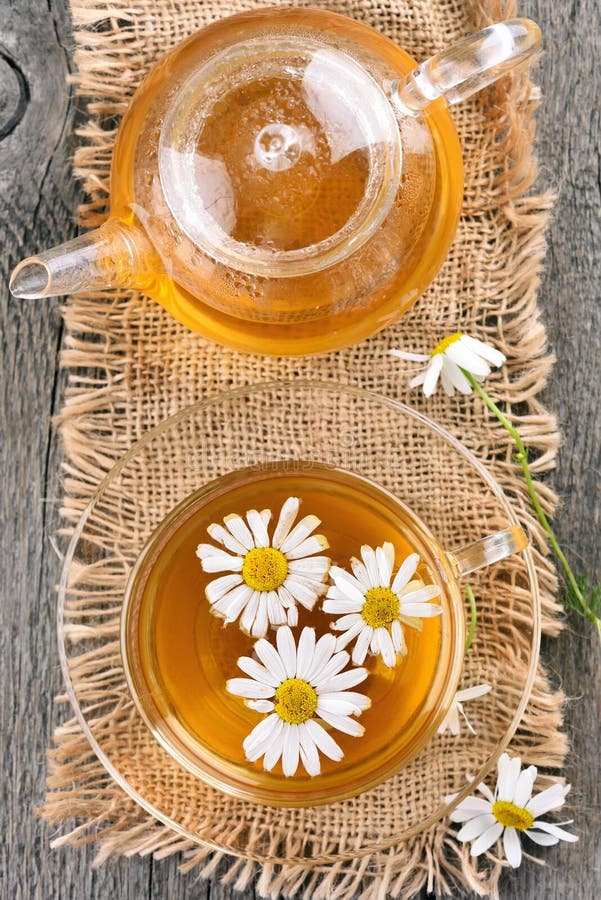 Chamomile tea stock image. Image of flora, table, floral - 60588943