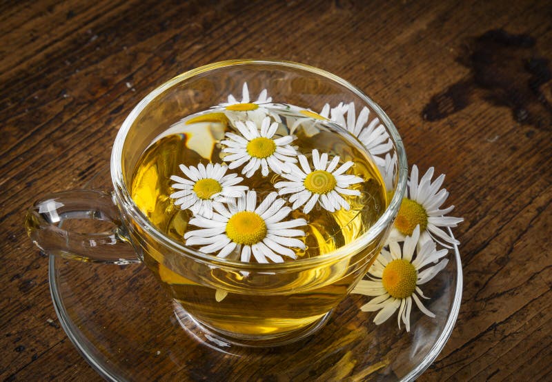 Chamomile tea stock photo. Image of essential, grow, life - 32190100