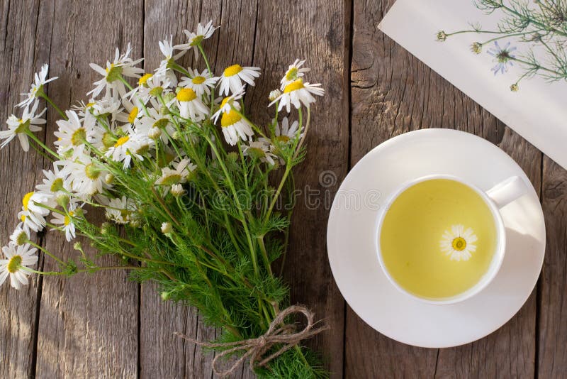 Chamomile tea stock photo. Image of wooden, beverage - 97550938