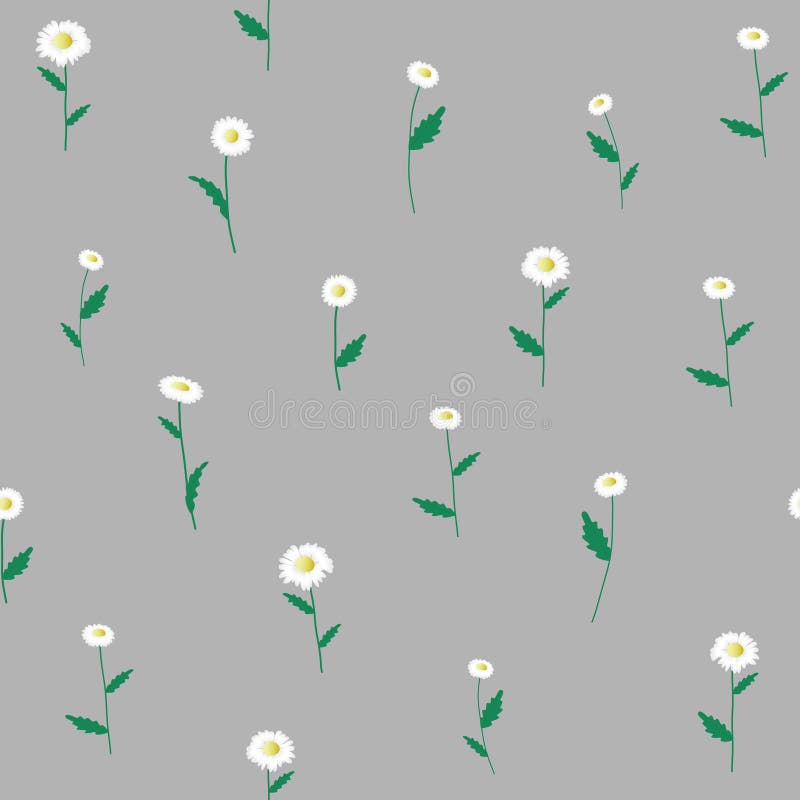 Daisies on a Gray Background. Seamless Pattern. Chamomiles. Stock ...