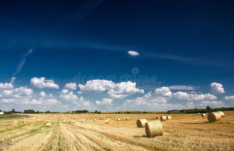 Champ agricole image stock. Image du ferme, horizontal - 32798869