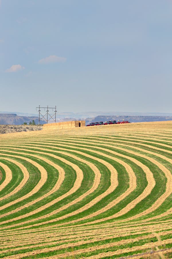 Photos de Irrigable - Photos de stock gratuites et libres de droits de ...