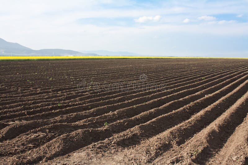 Zone labourée photo stock. Image du jour, horizon, ferme - 14256904