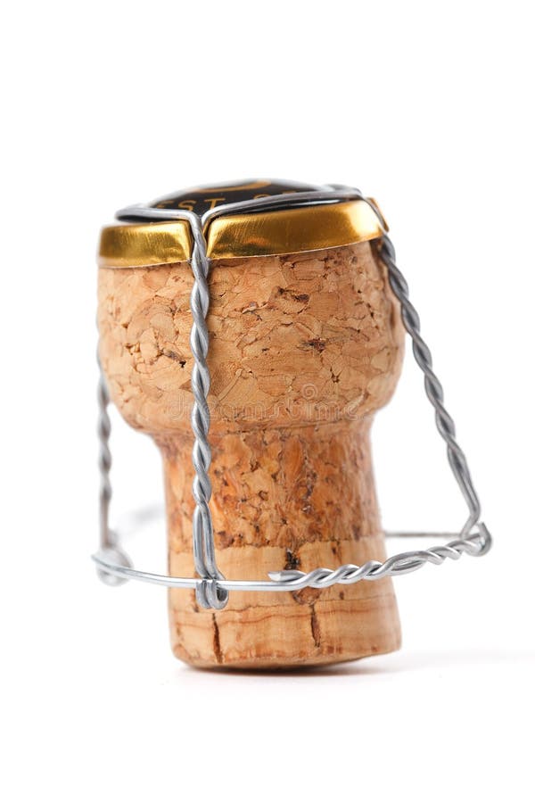 Champagne Celebration editorial photo. Image of sparkling - 63466