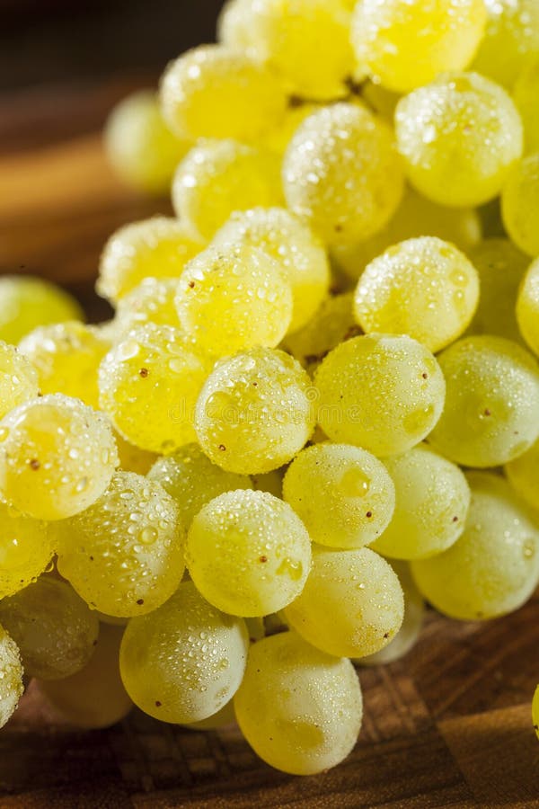 Champagne Grapes Organico Verde Crudo Fotografia Stock - Immagine di ...