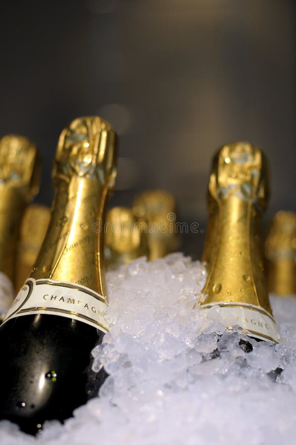Champagne on ice. stock photo. Image of sparkling, restaurant - 10359756
