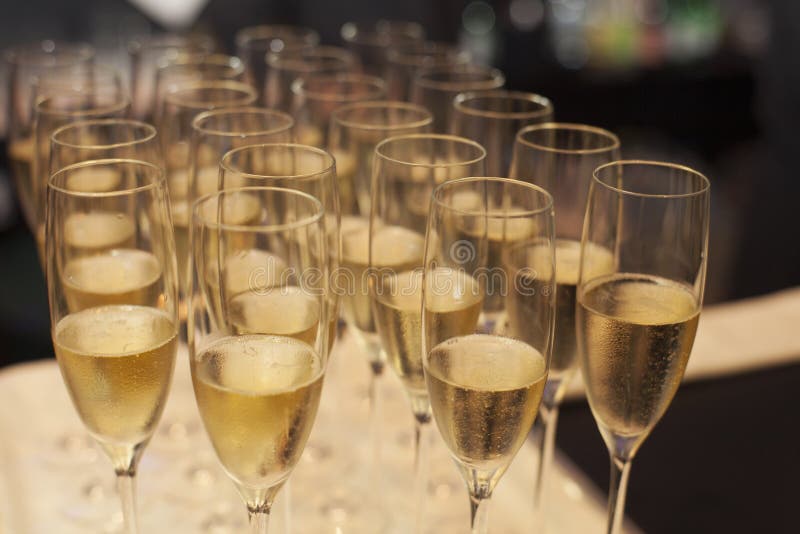 Champagne Reception stock photo. Image of bubbly, tray - 83841954