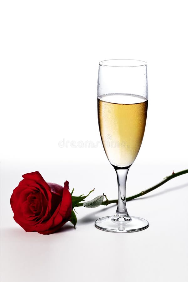 Champagne and rose stock photo. Image of sparkling, background - 14623896