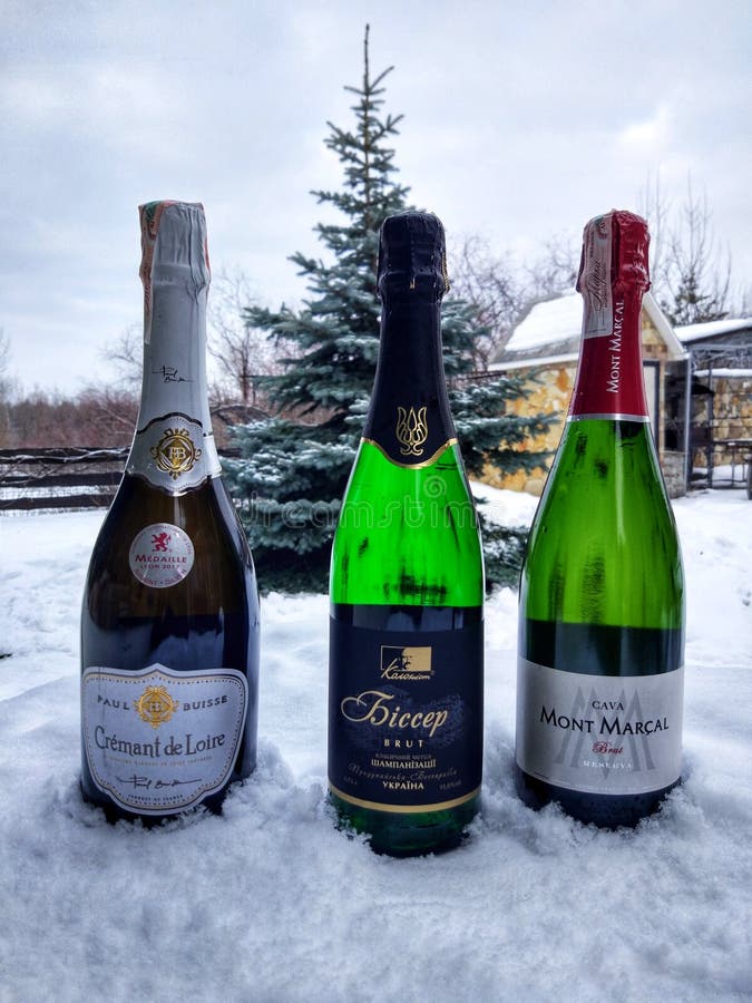 Champagne & snow editorial photography. Image of newyear - 136057797