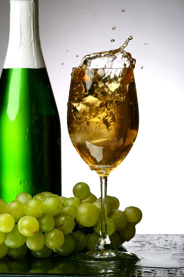 Champagne splash stock photo. Image of fresh, holidays - 7003088