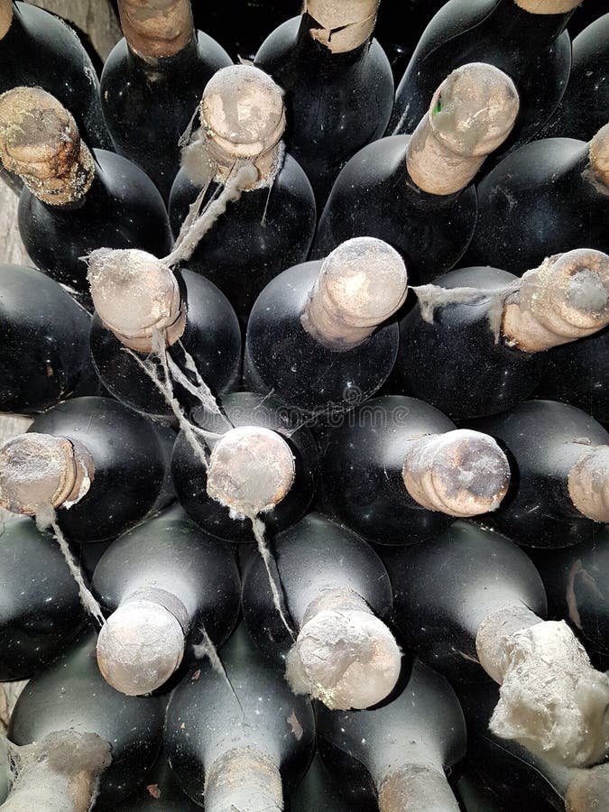 Old Wine Wine Cellar Grape Wine Winery Stock Image - Image of cellar ...