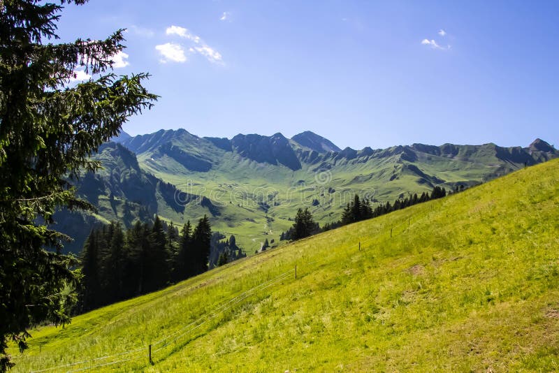 Champery stock image. Image of landscape, flowers, beautiful - 75624887