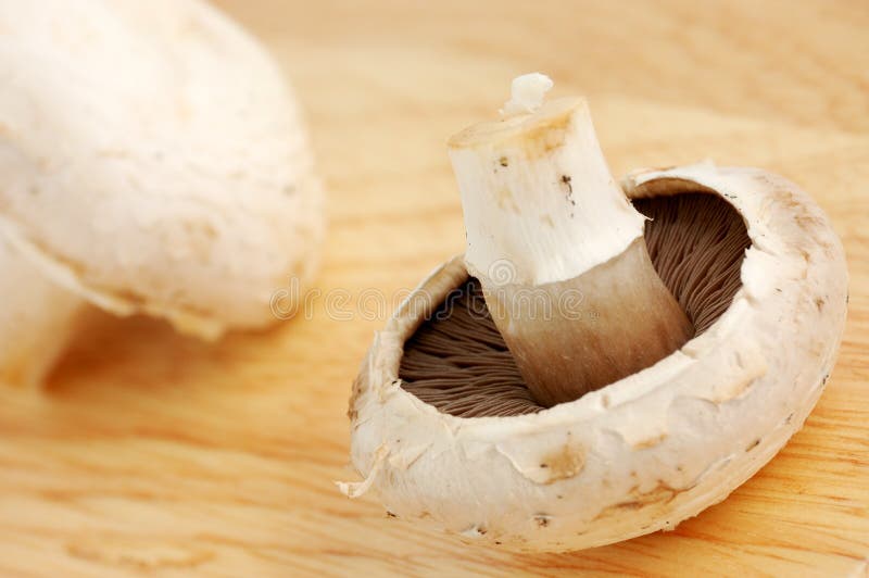 Champignion stock image. Image of food, board, gourmet - 5883163