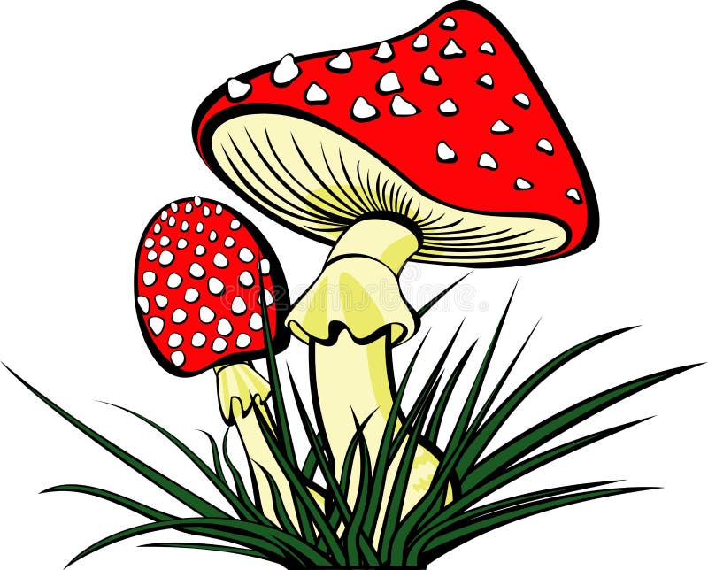 Champignon Stock Illustrations, Vecteurs, & Clipart – (58,893 Stock ...