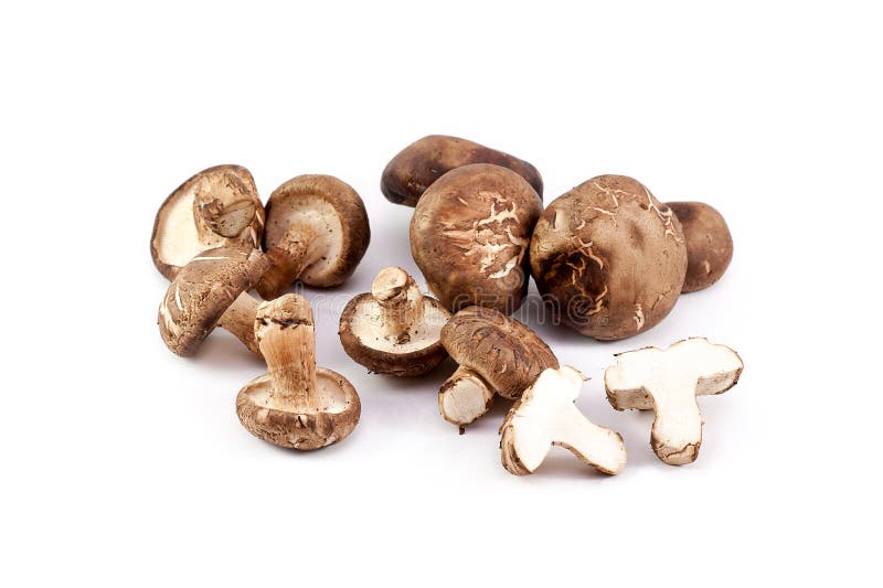 Champignon chinois photo stock. Image du normal, fond - 41220876