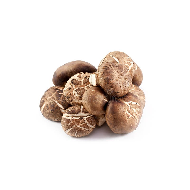 Champignon chinois photo stock. Image du normal, fond - 41220876