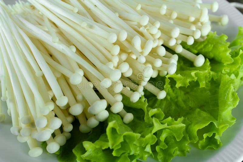 Champignon D'Enoki, Champignon D'or D'aiguille Image stock - Image du ...