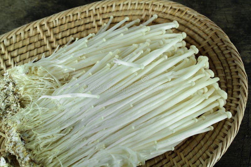 Champignon D'Enoki, Champignon D'or D'aiguille Image stock - Image du ...