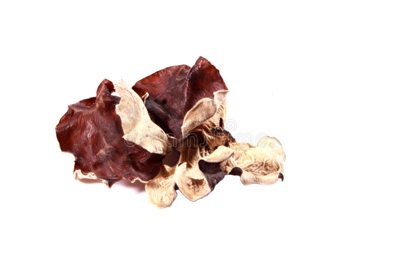 Champignon D'oreille Sec De Nuage Sur Un Fond Blanc Image stock - Image ...