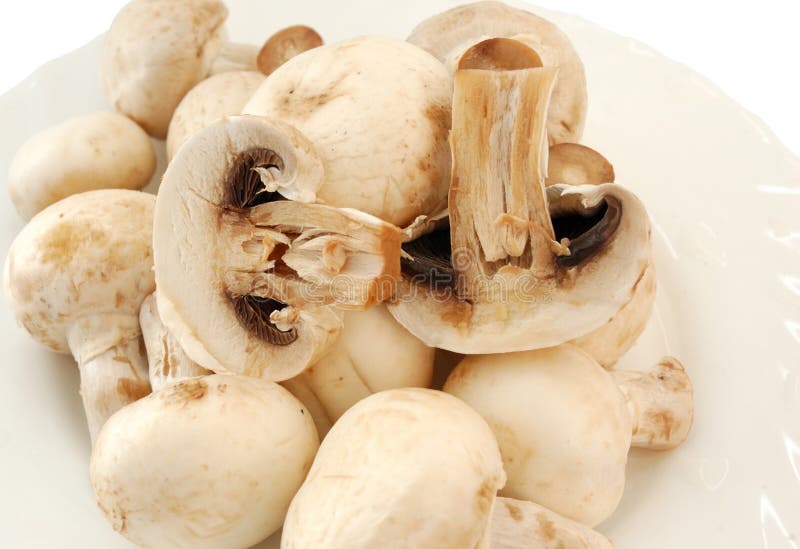 Champignon de paris image stock. Image du champignon, complètement ...