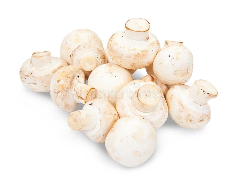 Champignon mushroom stock image. Image of vegetable, fungi - 13525331