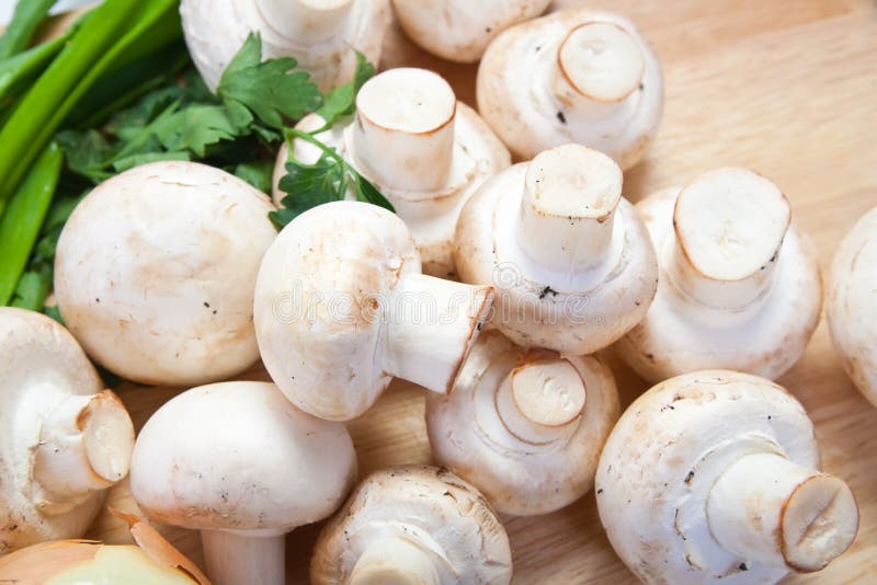 Champignon mushroom stock image. Image of healthy, fresh - 13525493