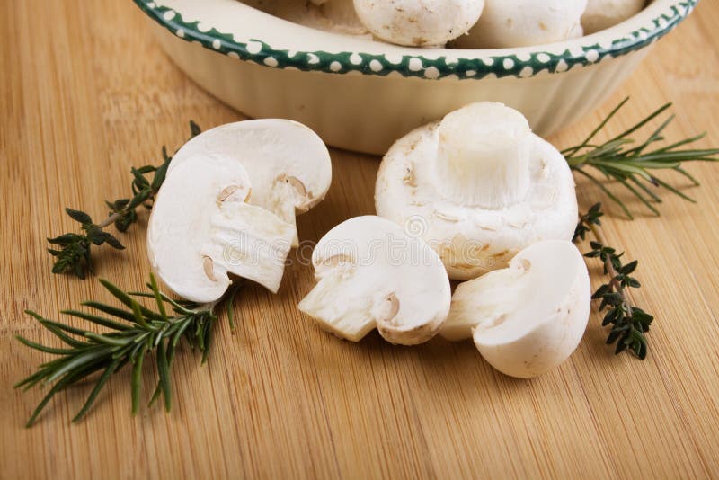 Champignon mushroom stock photo. Image of ingredient - 19516928