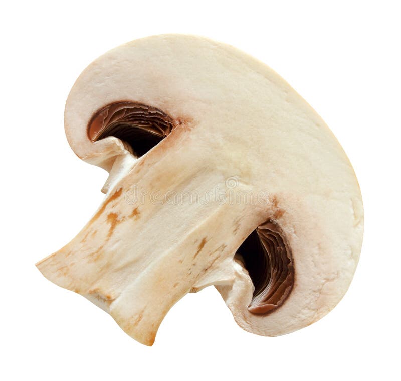 Mushroom Half On Fresh Green Cress Stock Photo - Image of organic, meal ...