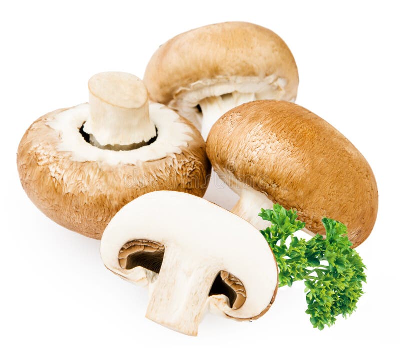 Champignon Mushroom Isolated on White Background Stock Image - Image of ...