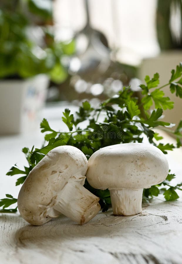 Champignon mushrooms stock image. Image of leaves, meal - 23617813