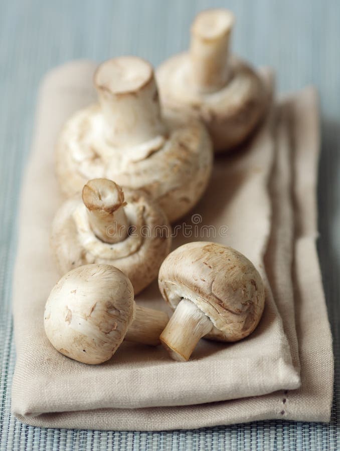 Champignon mushrooms stock photo. Image of food, ingredient - 24858482