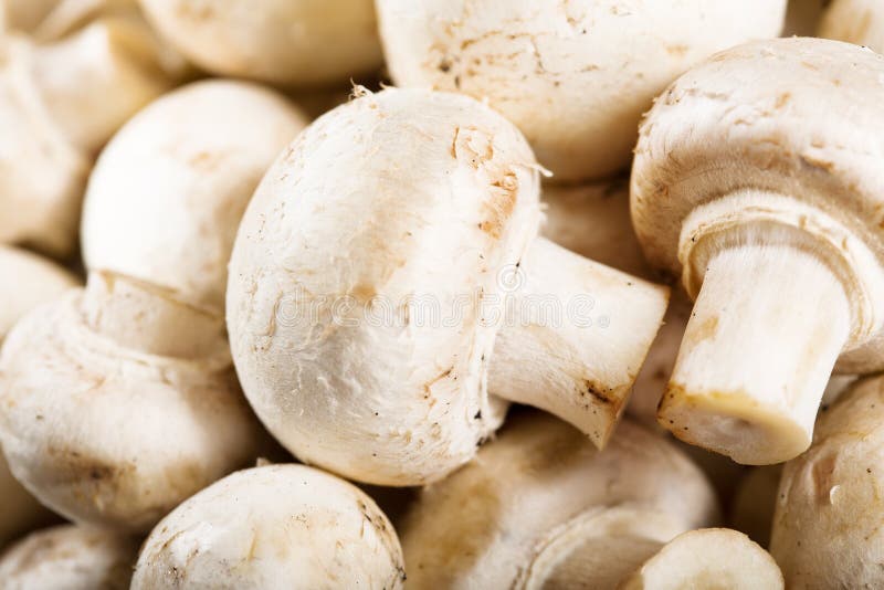 Champignon mushrooms stock image. Image of fresh, ripe - 29395607