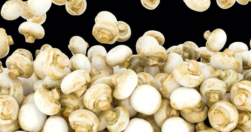 Champignon Mushrooms Falling and Fill the Screen. 3D Animation on ...