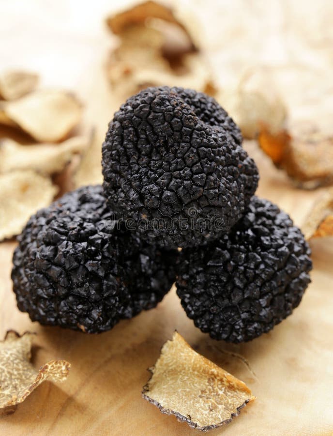 Champignon Noir Rare Cher De Truffe Photo stock - Image du noir ...