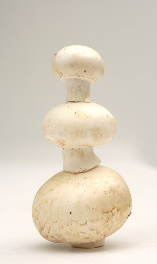 Champignon pyramid stock image. Image of food, nutrition - 3307741