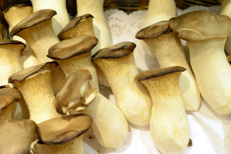 Champignons chinois frais image stock. Image du comestible - 31365721