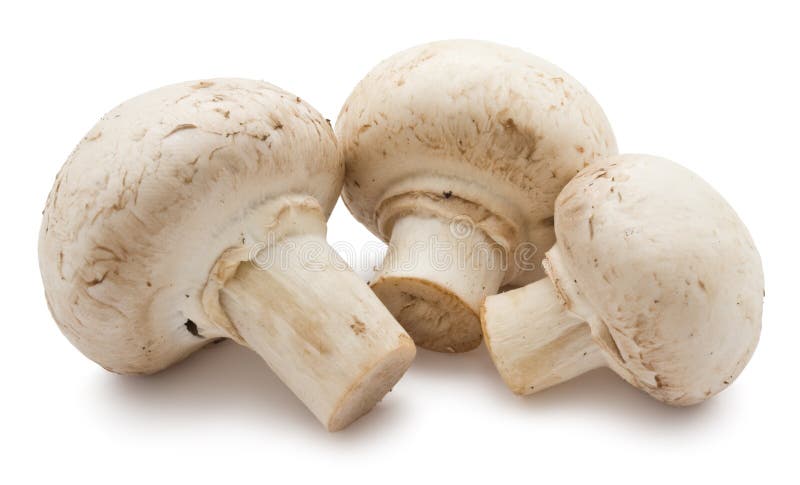 Champignons De Champignon De Paris Image stock - Image du légume, frais ...