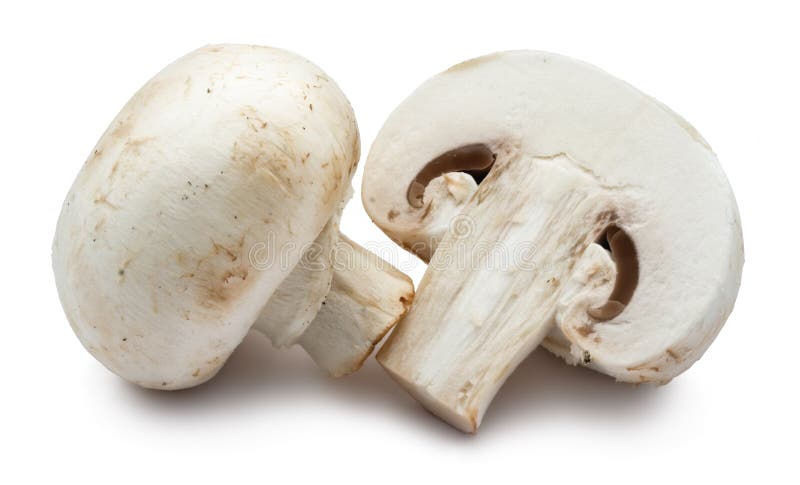 Champignons De Champignon De Paris Photo stock - Image du manger ...