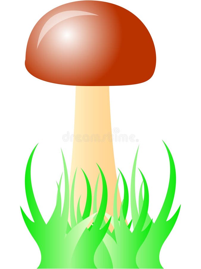 Champignons de couche illustration stock. Illustration du bois - 13505398
