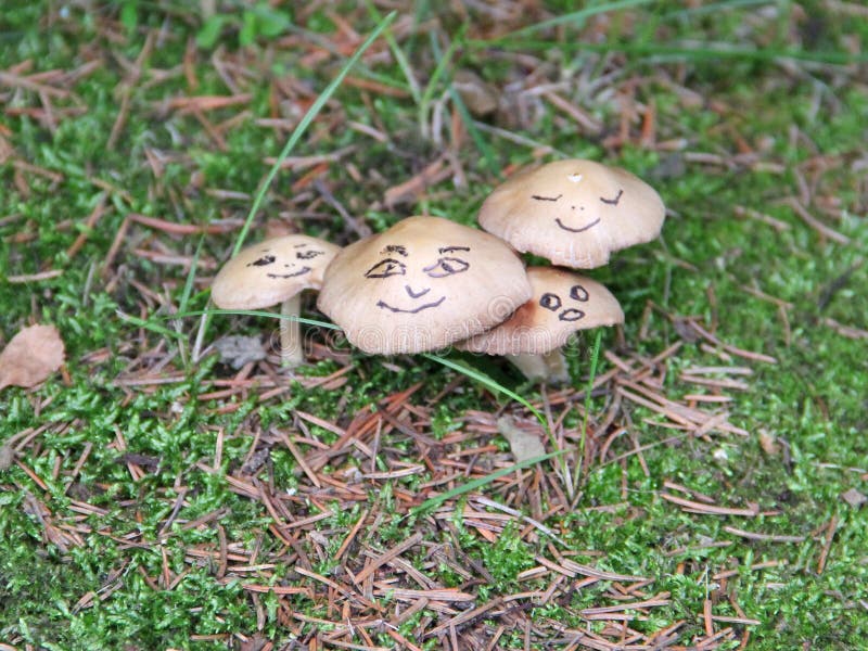 Monicaclinton - Photographer profile