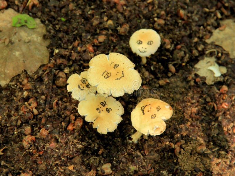 Monicaclinton - Photographer profile