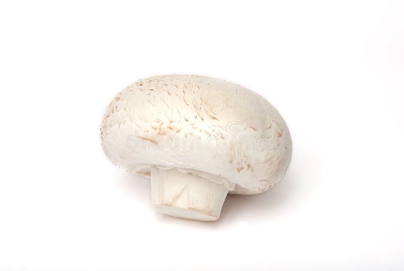 Champinjon arkivfoto. Bild av kultiverat, knapp, kulinariskt - 16385296