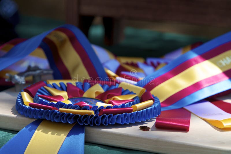 Champion stock image. Image of outstanding, badge, contest - 31090757