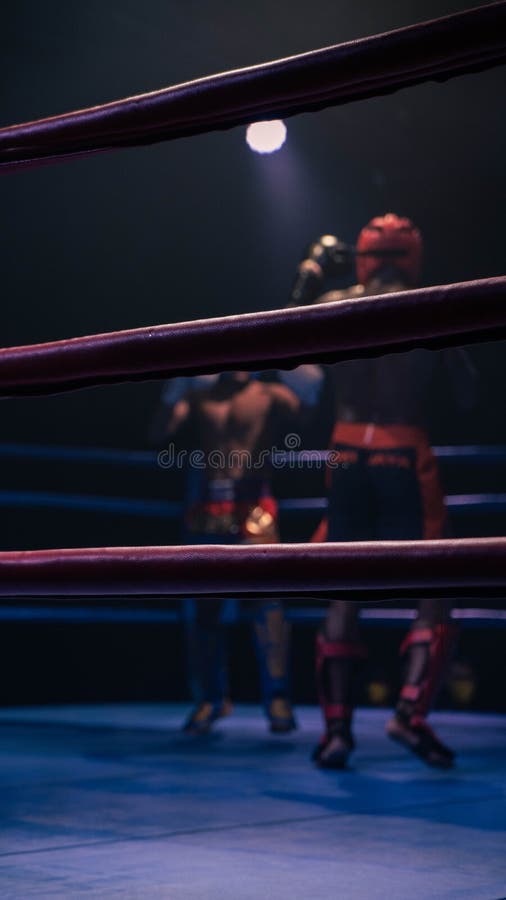 The champions in the ring stock image. Image of boxing - 242792131