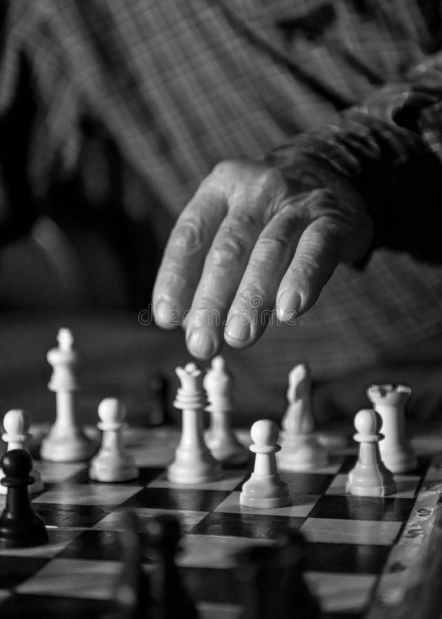 Championship Chess Tournament. Chess Board Stock Photo - Image of ...