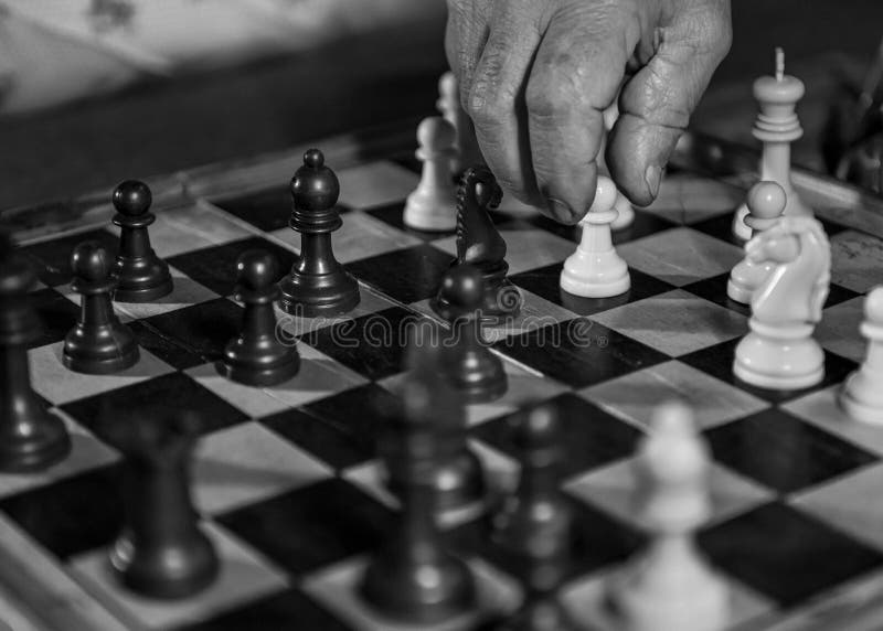 Championship Chess Tournament. Chess Board. we Play Chess Stock Photo ...