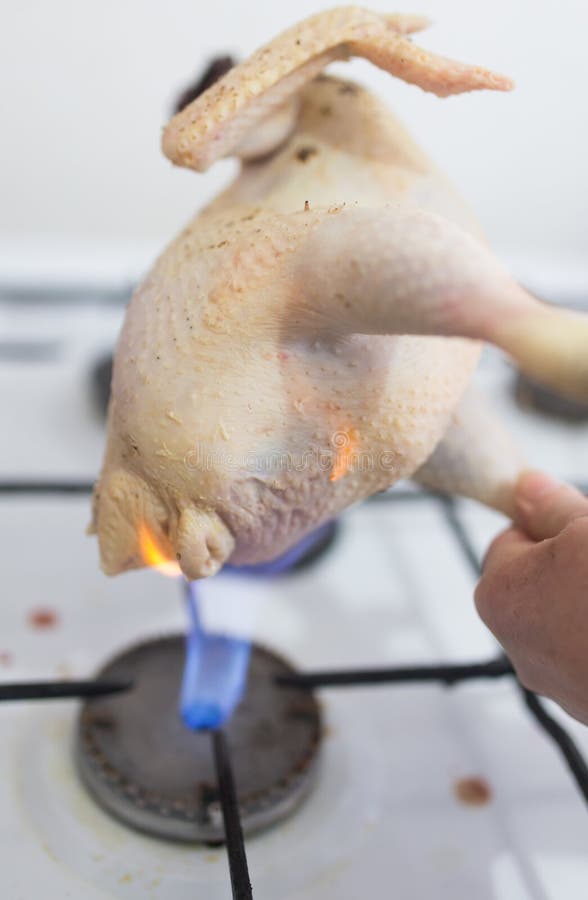 Chamuscar El Pollo En El Fuego Imagen de archivo - Imagen de ...