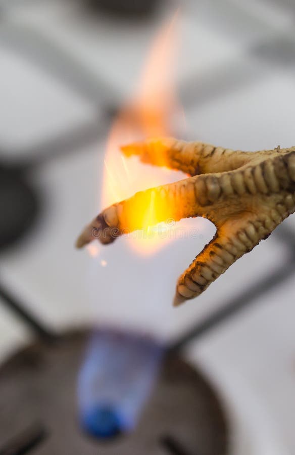 Chamuscar El Pollo En El Fuego Foto de archivo - Imagen de estufa ...